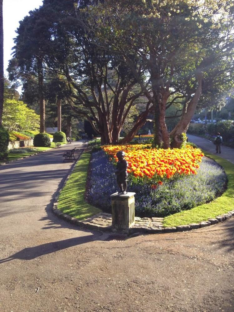 Why you should visit Wellington in Spring - Sarah Sees The World