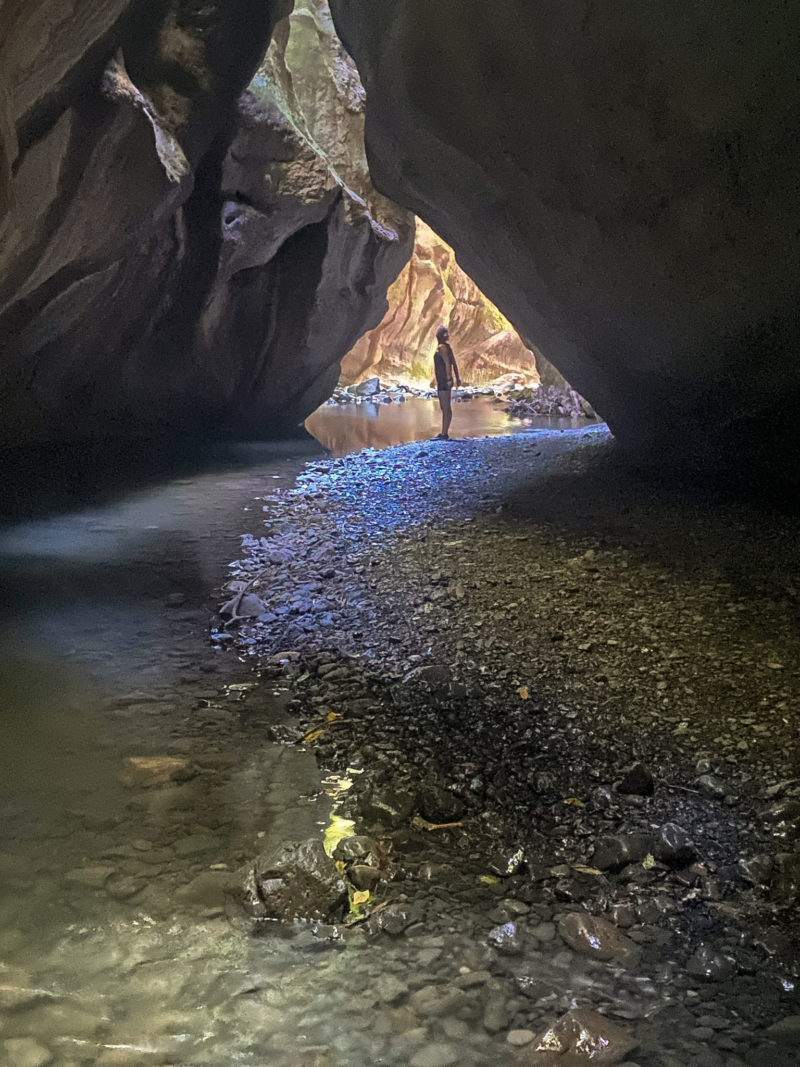 Things to do in the Wairarapa - Sarah Sees The World